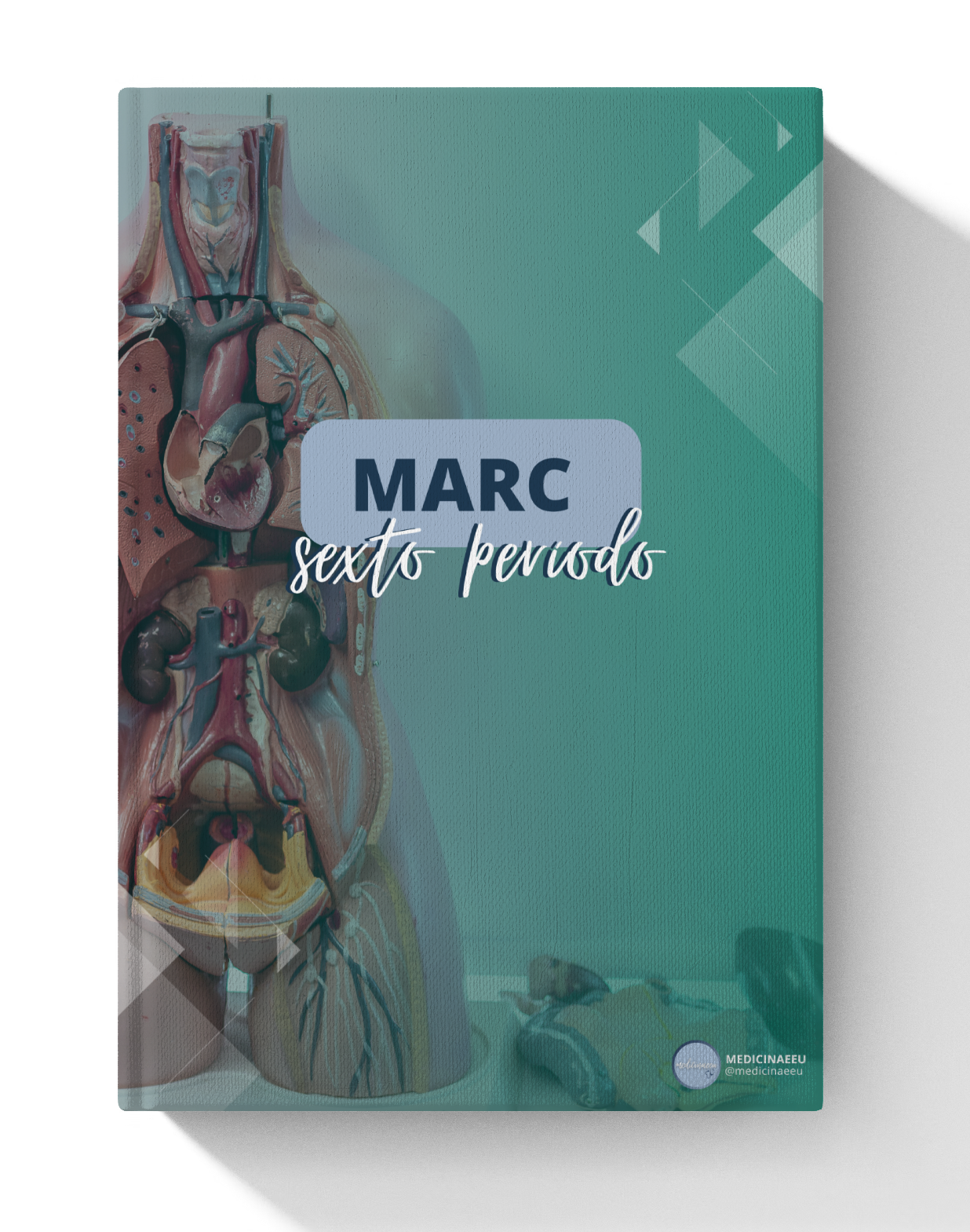 Sexto Período – Resumos Medicina & eu